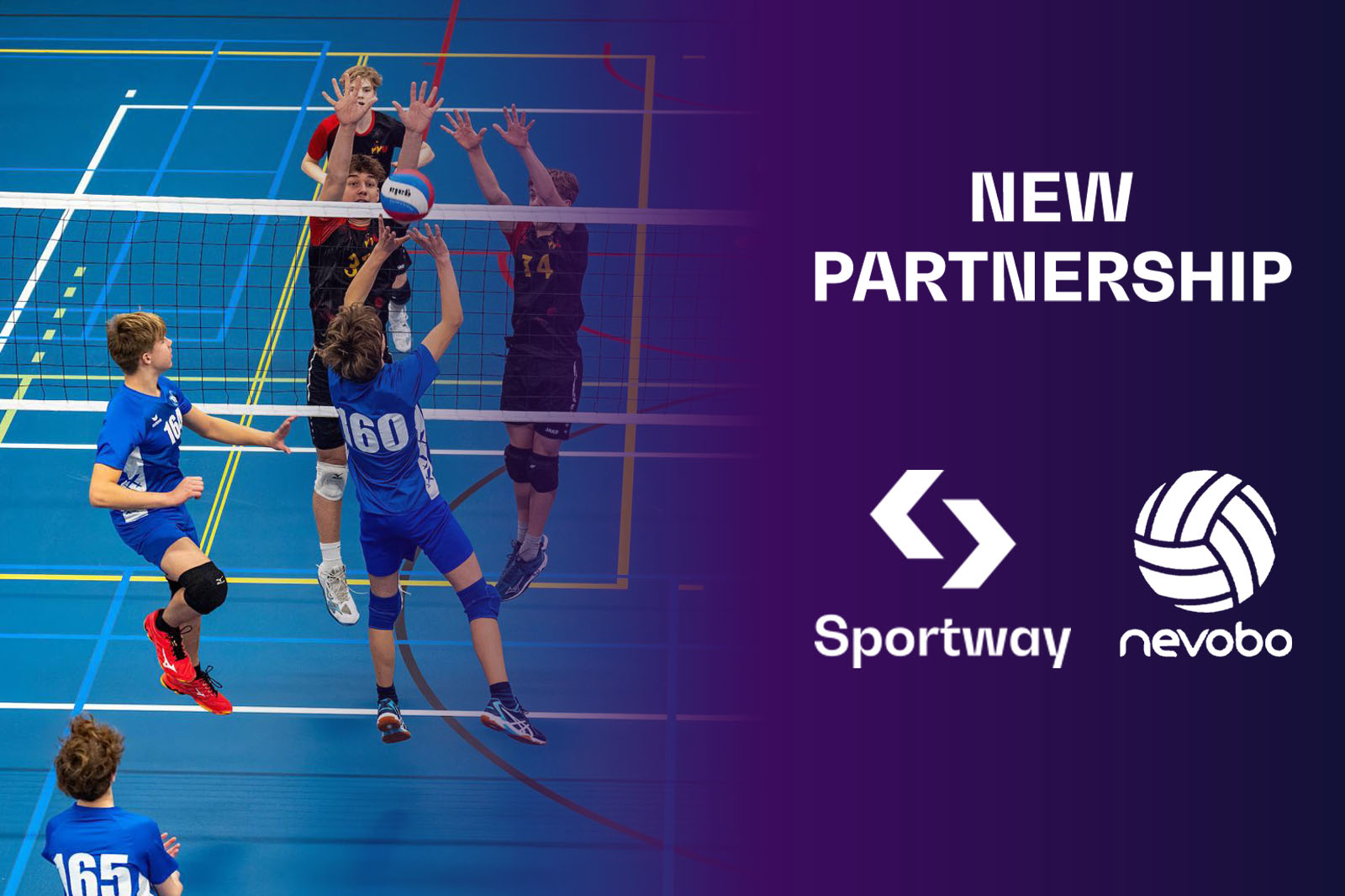 Sportway NL and Nevobo launch Volleybal TV: structural visibility for ...